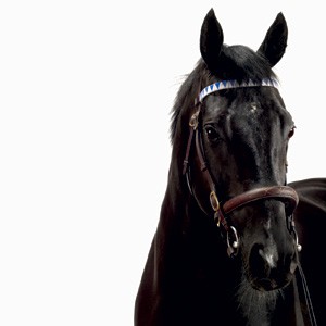 Manduro set to carry on his father’s legacy | Europe