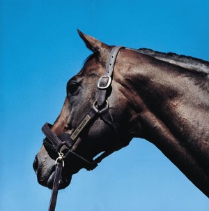 Red letter day | Australia