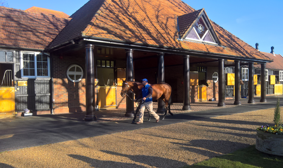 Open days at Dalham Hall Stud | Europe