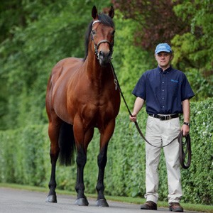 Blue-eyed boy: Dubawi | Europe
