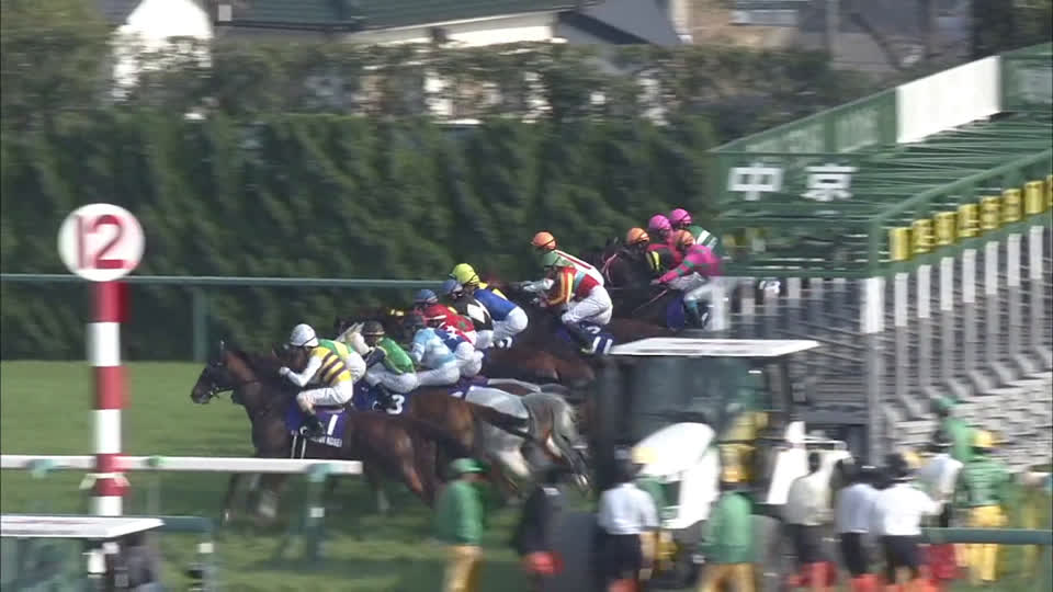 アドマイヤムーン | Japan アドマイヤムーン | Japan