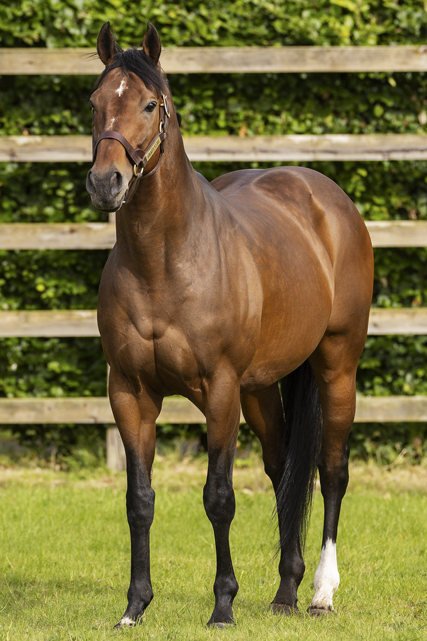 Opera Ballo an impressive new Stakes winner for Ghaiyyath | Australia