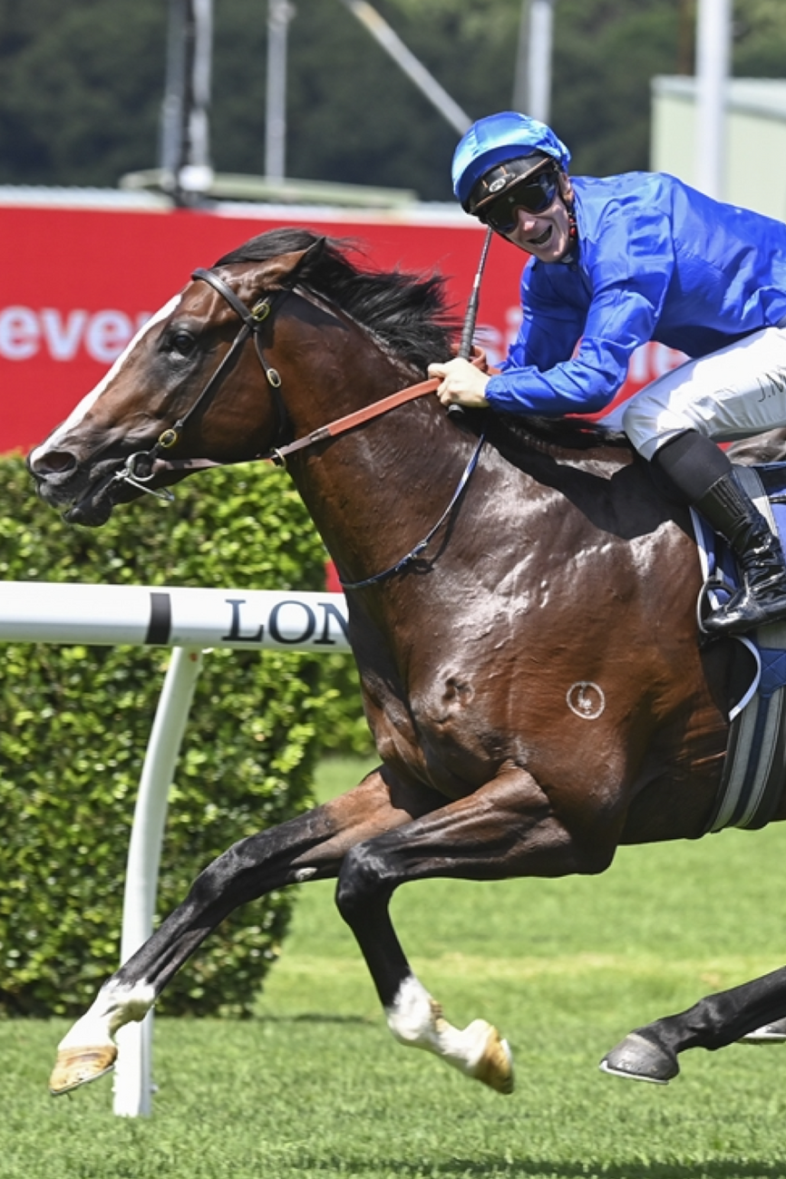 Darley Australia announces 2025 stallion roster | Australia
