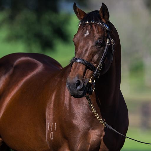 Exceed And Excel mare captures Listed Matrice | Europe