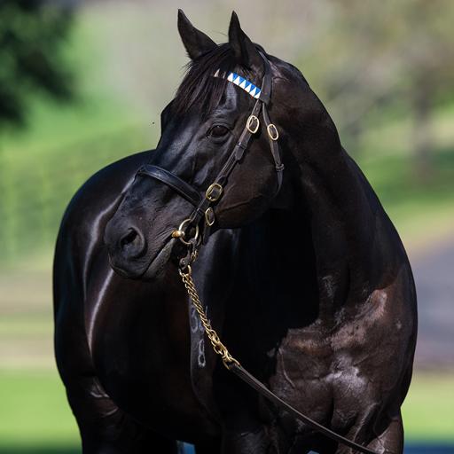 Lonhro (1998-2024) | Australia